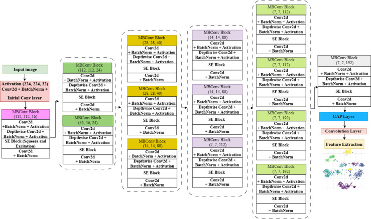 A hybrid compound scaling hypergraph neural network for robust cervical cancer subtype ...