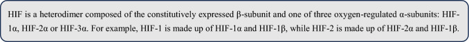 HIF-1 and HIF-2 in cancer: structure, regulation, and therapeutic ...