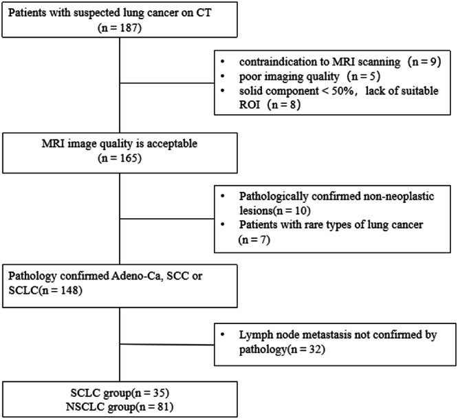 Predictors of lung cancer subtypes and lymph node status in non-small ...