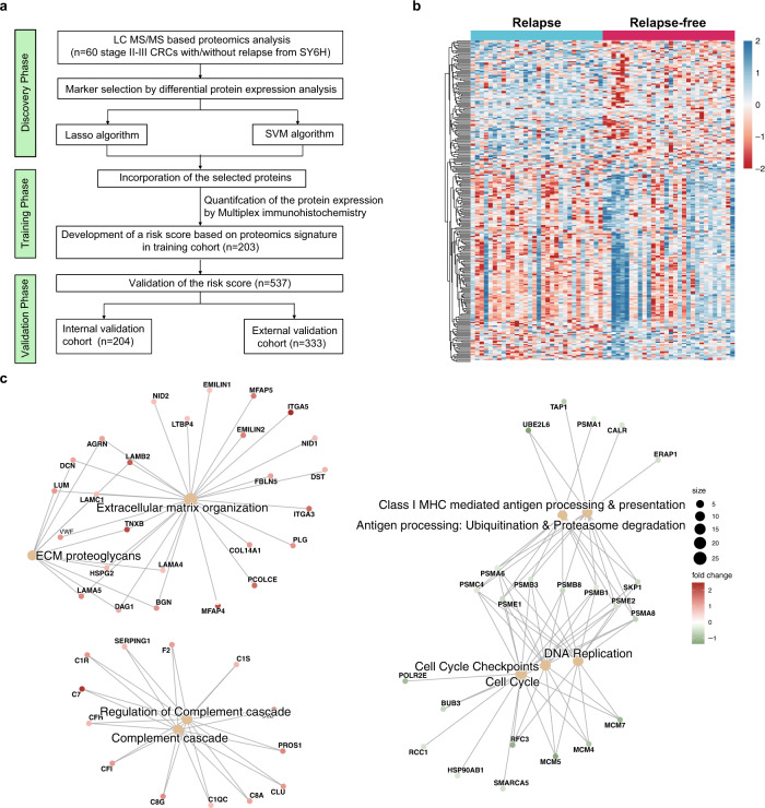 High Throughput Proteomics Profiling Derived Signature Associated With Chemotherapy Response And