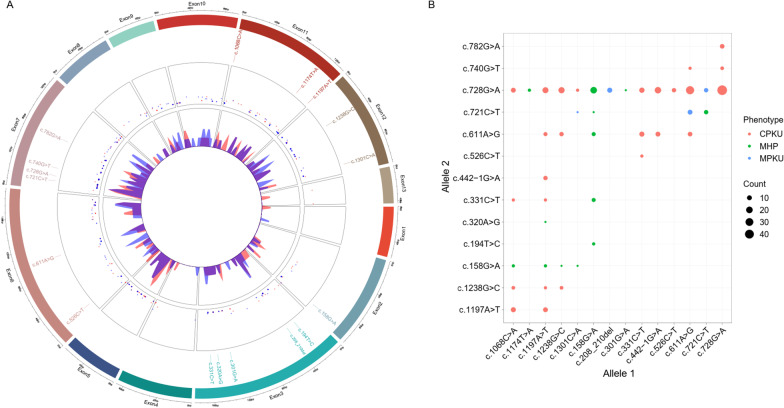 Allelic phenotype prediction of phenylketonuria based on the machine ...
