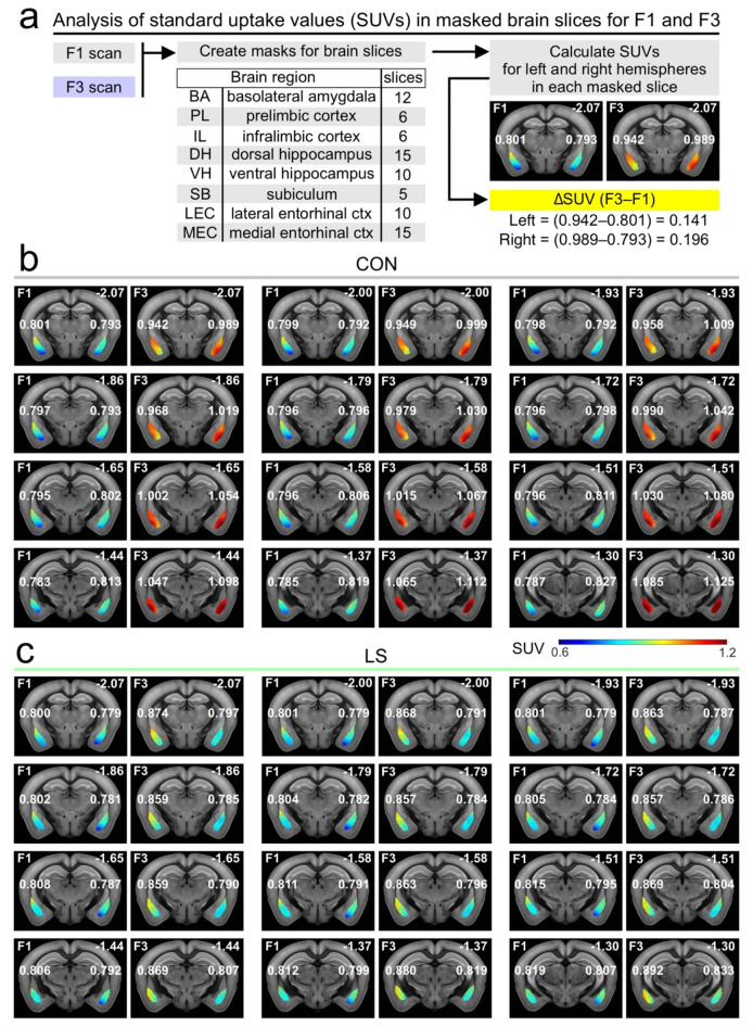 Brain imaging and machine learning reveal uncoupled functional network for contextual threat ...
