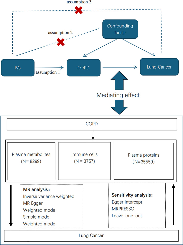 From chronic obstructive pulmonary disease (COPD) to lung cancer: a Mendelian randomization ...