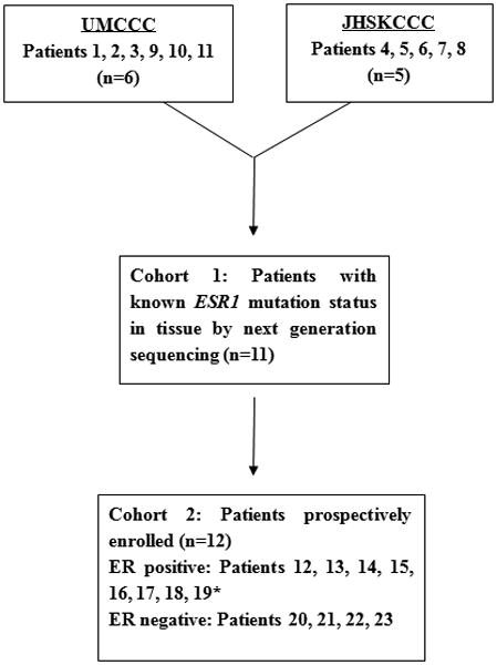 ESR1 mutations in circulating plasma tumor DNA from metastatic breast cancer patients - PMC