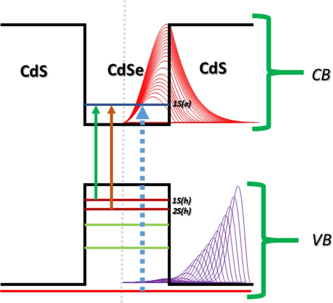 Wavefunction Engineering of Type-I/Type-II Excitons of CdSe/CdS Core-Shell Quantum Dots - PMC
