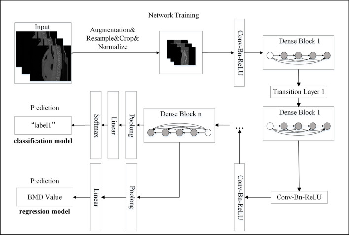 A study on whether deep learning models based on CT images for bone density classification and ...