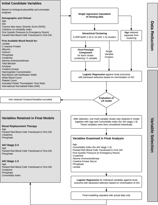 Acute Kidney Injury in Trauma Patients Admitted to Critical Care: Development and Validation of ...