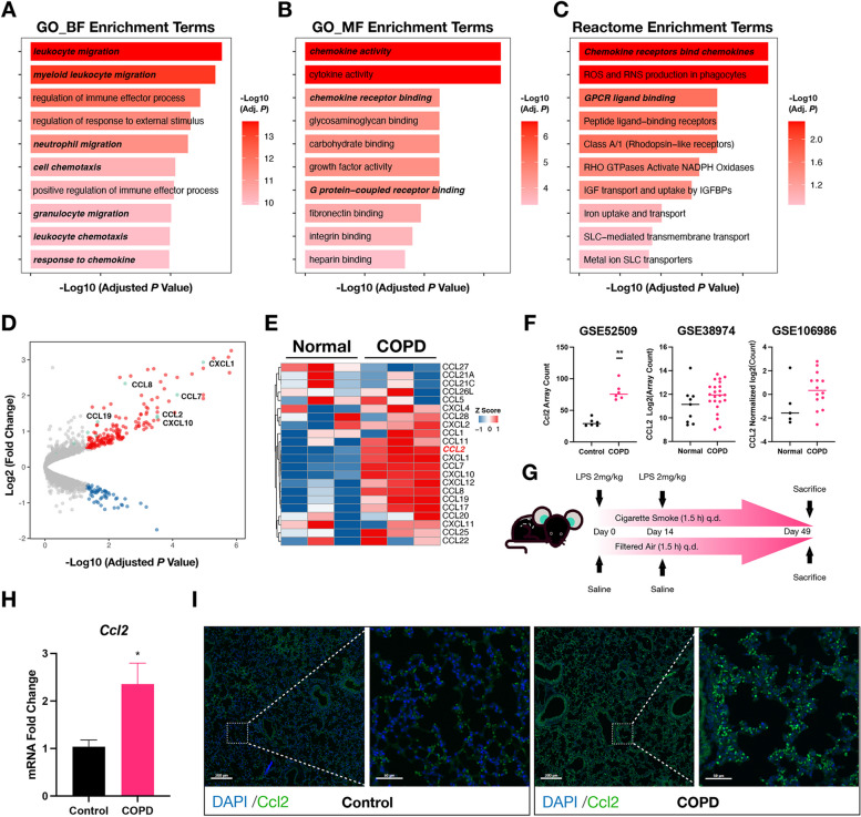 Targeting Ccl2 Ccr2 Signaling Pathway Alleviates Macrophage Dysfunction