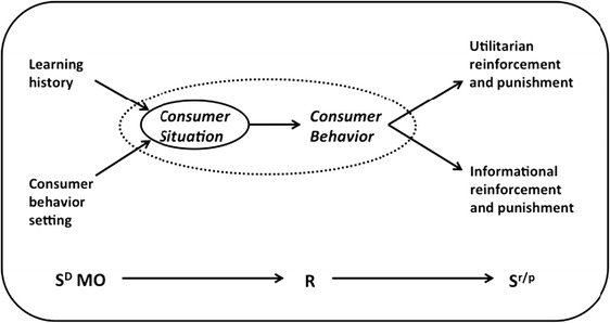 Building Consumer Understanding by Utilizing a Bayesian Hierarchical Structure within the ...