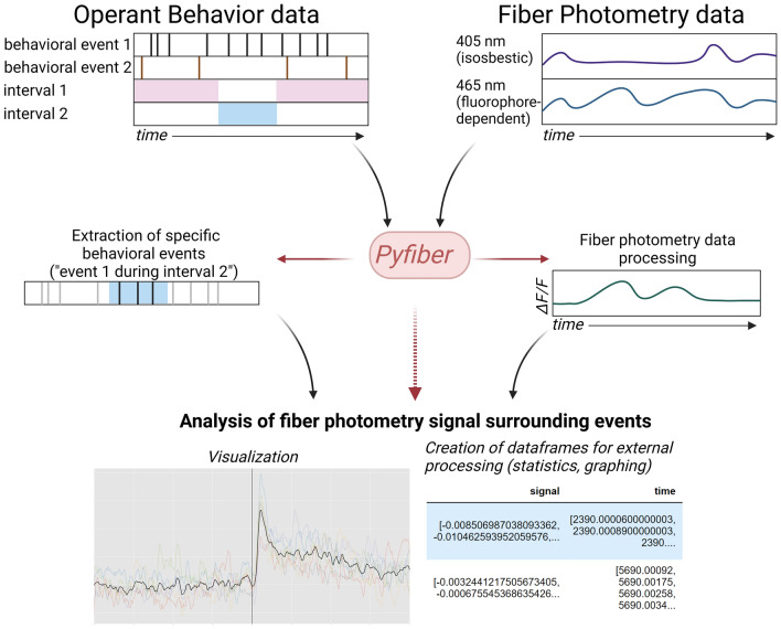 Integrating operant behavior and fiber photometry with the open-source python library Pyfiber - PMC