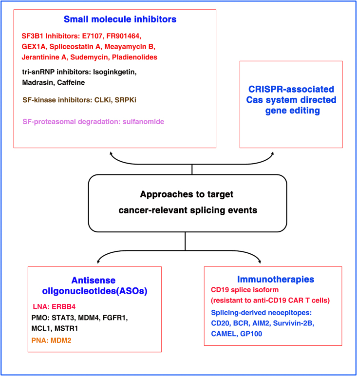 Impacts and mechanisms of alternative mRNA splicing in cancer metabolism, immune response, and ...