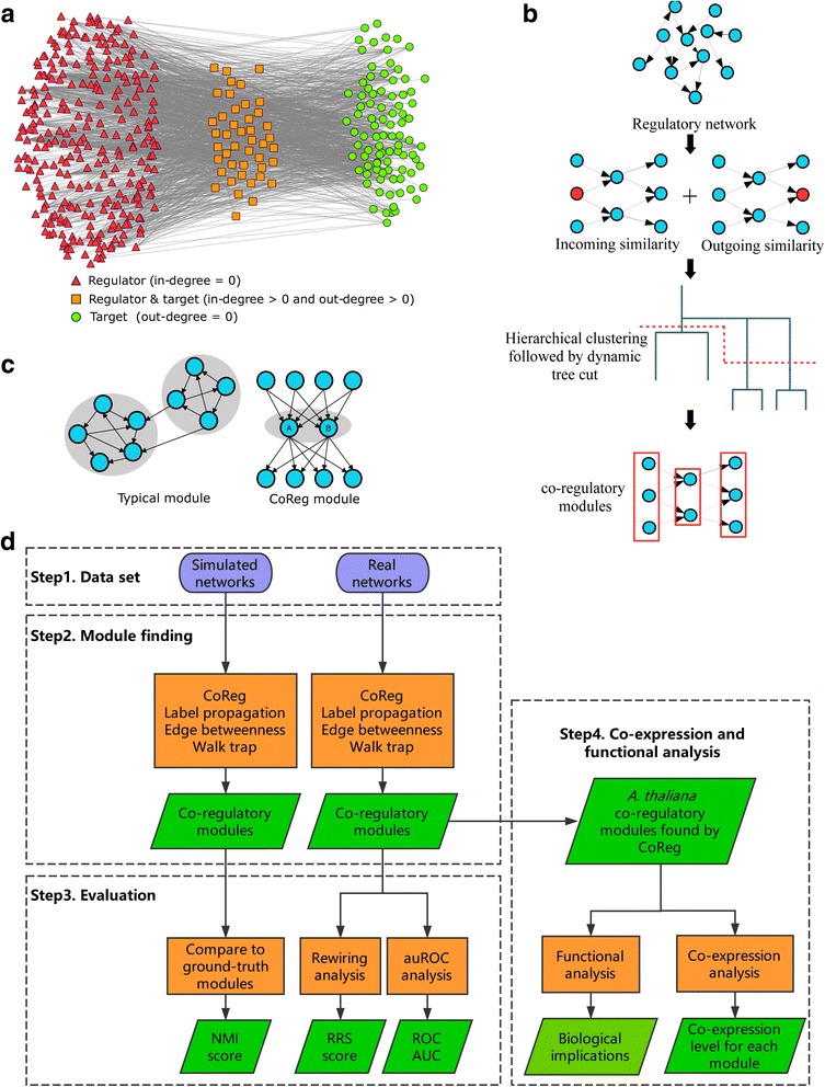Identification of regulatory modules in genome scale transcription regulatory networks - PMC