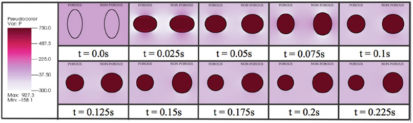 IB2d: a Python and MATLAB implementation of the immersed boundary method - PMC