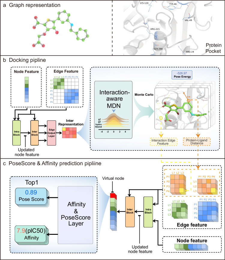 Interformer: an interaction-aware model for protein-ligand docking and affinity prediction - PMC