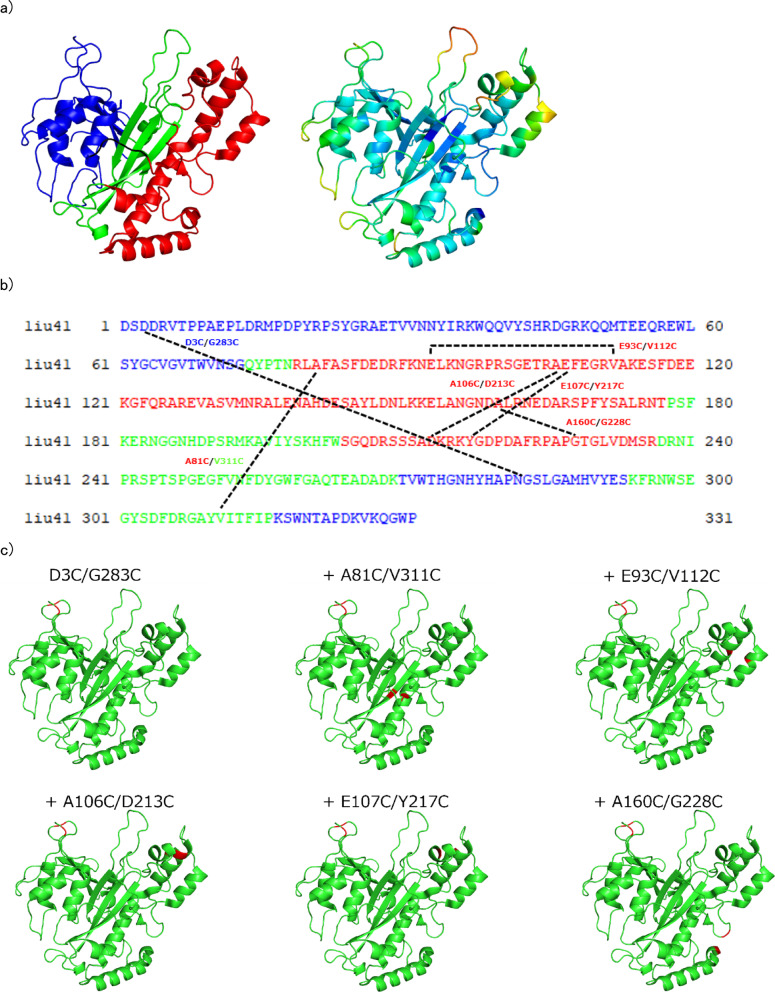 Introduction of multiple disulfide bonds increases the thermostability of transglutaminase - PMC