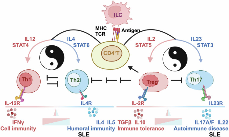 Systemic lupus erythematosus: updated insights on the pathogenesis, diagnosis, prevention and ...