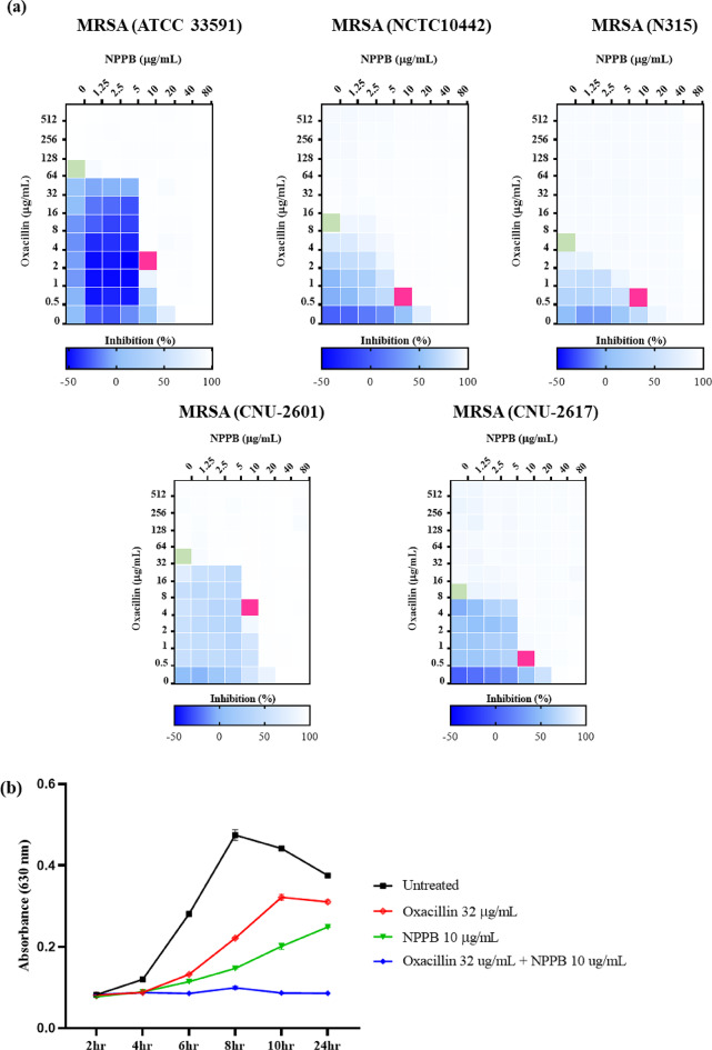 Restoration of Oxacillin susceptibility in MRSA strains by NPPB - PMC