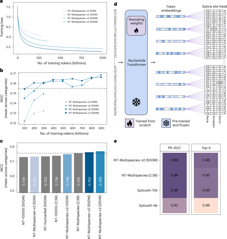 Nucleotide Transformer: building and evaluating robust foundation models for human genomics - PMC