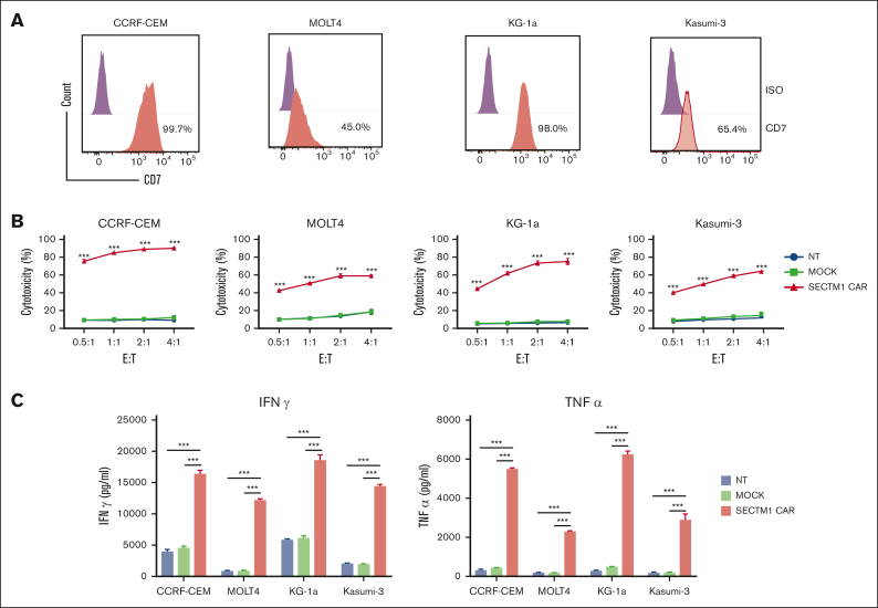 SECTM1-based CAR T cells enriched with CD7-low/negative subsets exhibit efficacy in CD7-positive ...