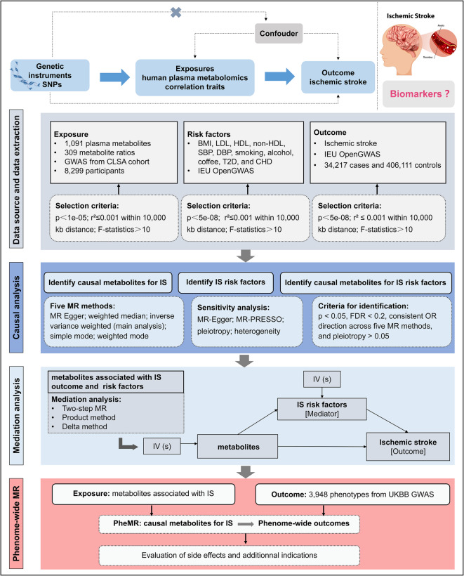 Identification of causal plasma metabolite biomarkers for ischemic stroke using Mendelian ...