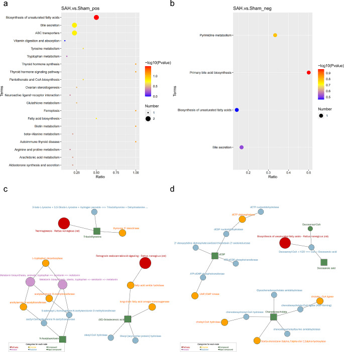Transcriptomics and metabolomics reveal hypothalamic metabolic characteristics and key genes ...