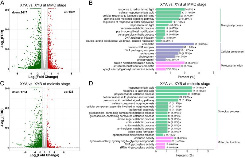 Integrated transcriptomic and metabolomic analysis provides insight into the pollen development ...