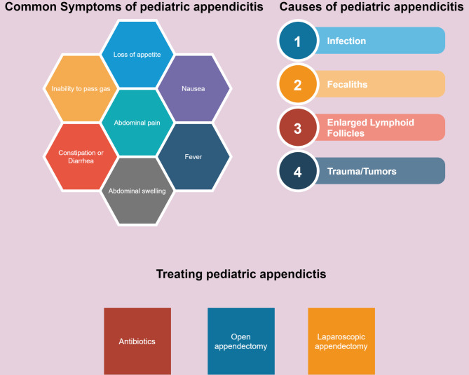An interpretable and transparent machine learning framework for appendicitis detection in ...