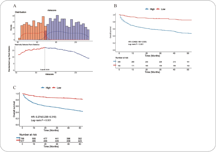 Development and validation of web-based risk score predicting prognostic nomograms for elderly ...