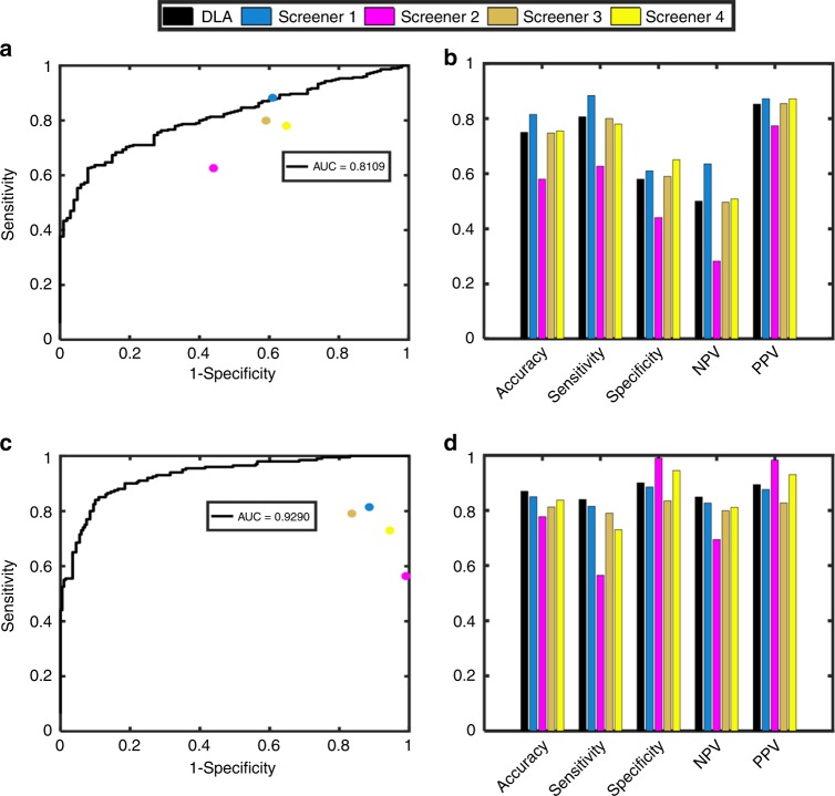 Development and validation of deep learning algorithms for scoliosis screening using back images ...