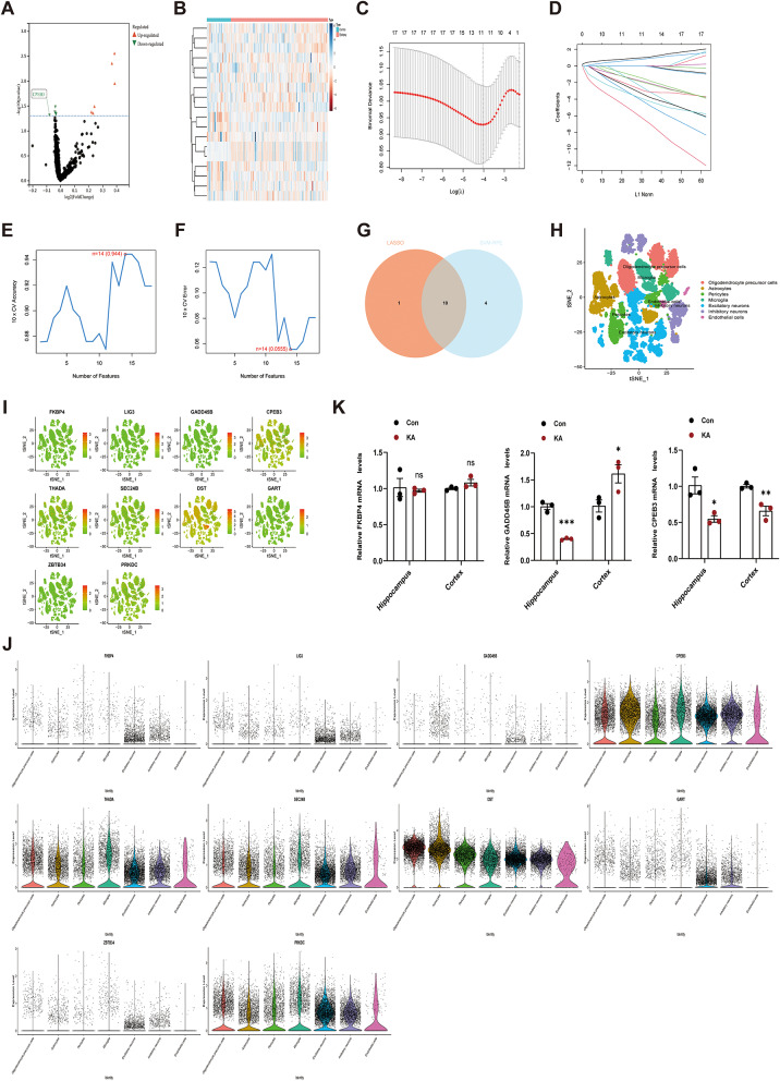 CPEB3 can regulate seizure susceptibility by inhibiting the transcriptional activity of STAT3 on ...