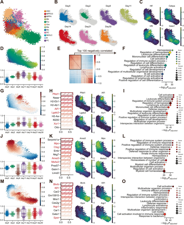 iVAE: an interpretable representation learning framework enhances clustering performance for ...