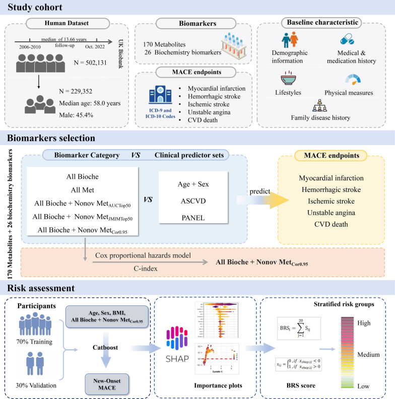 Improved prediction and risk stratification of major adverse cardiovascular events using an ...