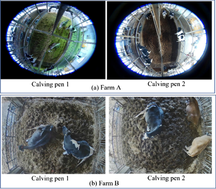 Cow detection and tracking system utilizing multi-feature tracking algorithm - PMC