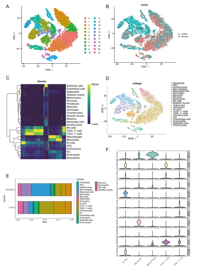 Integrating bulk and single-cell RNA sequencing data: unveiling RNA methylation and autophagy ...
