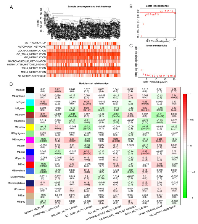 Integrating bulk and single-cell RNA sequencing data: unveiling RNA methylation and autophagy ...