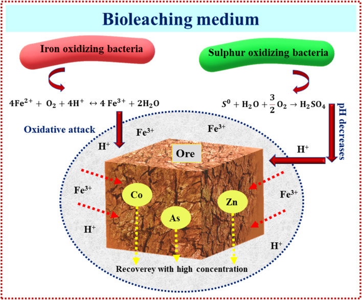 A Comprehensive Review Of Bioleaching Optimization By Statistical