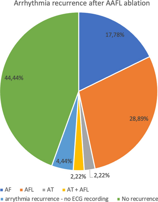 Atypical atrial flutter ablation: follow-up and predictors of arrhythmia recurrence - PMC