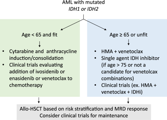 Acute myeloid leukemia with IDH1 and IDH2 mutations: 2021 treatment algorithm - PMC