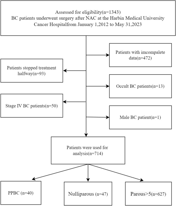 Clinical characteristics and pathologic complete response (pCR) rate after neoadjuvant ...