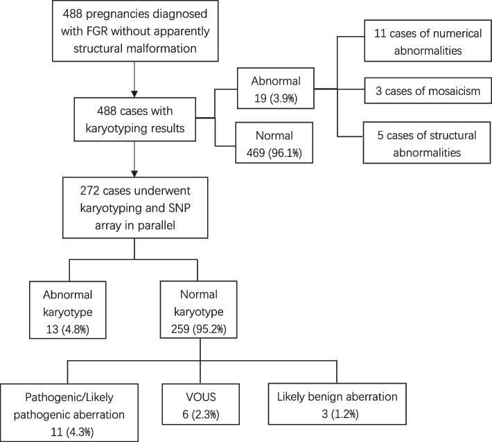 Fetal genetic findings by chromosomal microarray analysis and ...