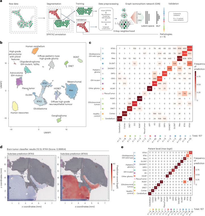 Spatially resolved transcriptomics and graph-based deep learning improve accuracy of routine CNS ...