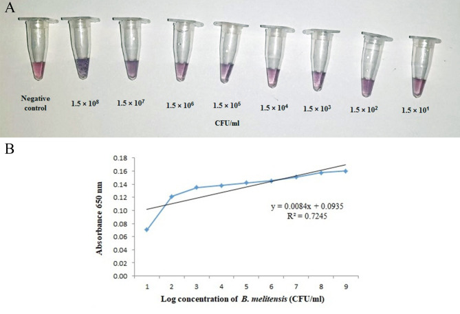 Rapid Detection Of Brucella Cells Using A Gold Nanoparticle Based Aptasensor Via A Simple