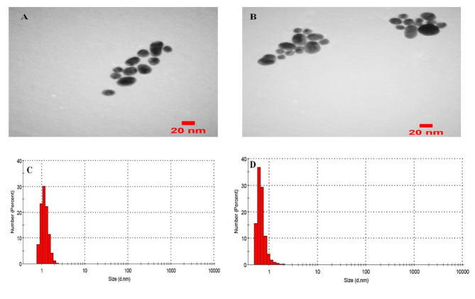 Rapid Detection Of Brucella Cells Using A Gold Nanoparticle Based Aptasensor Via A Simple