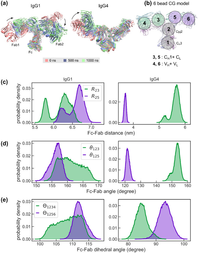 IgG1 and IgG4 antibodies sample initial structure dependent local ...