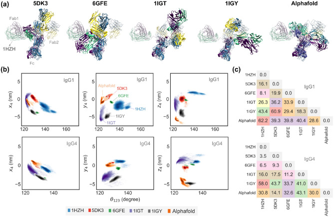 IgG1 and IgG4 antibodies sample initial structure dependent local ...