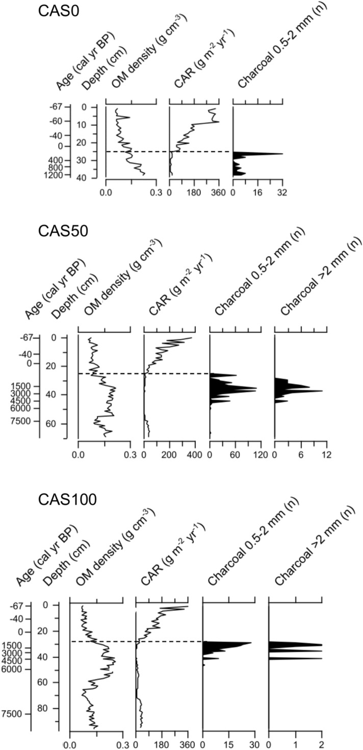 Peat deposits store more carbon than trees in forested peatlands of the boreal biome - PMC