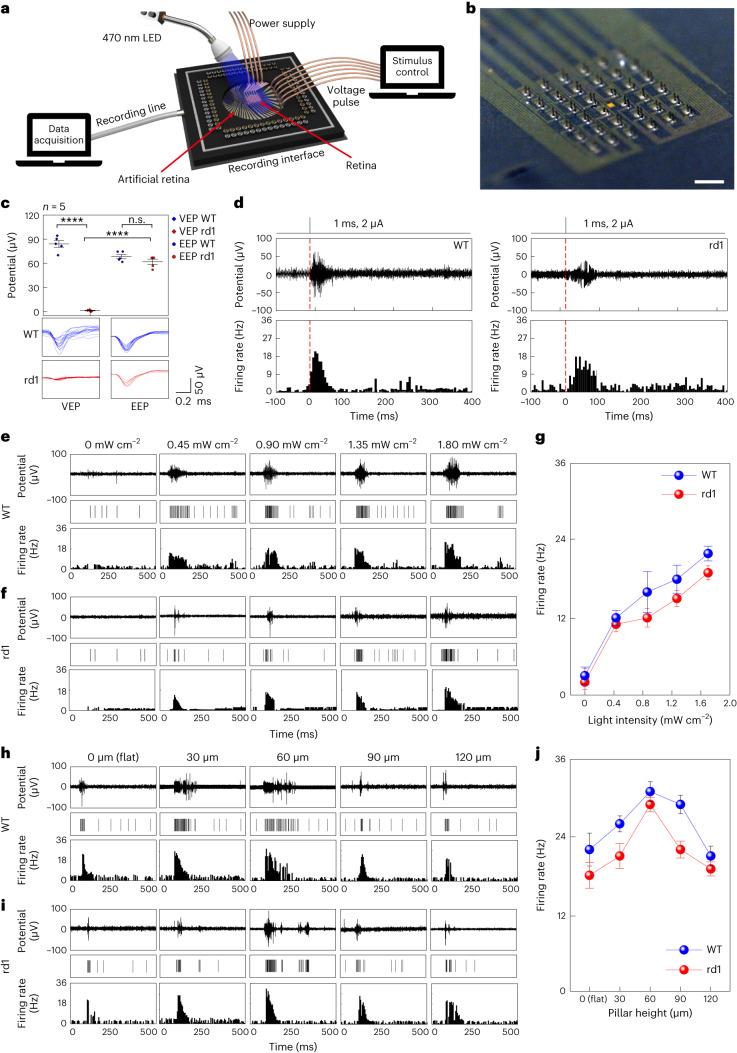Liquid-metal-based three-dimensional microelectrode arrays integrated with implantable ultrathin ...