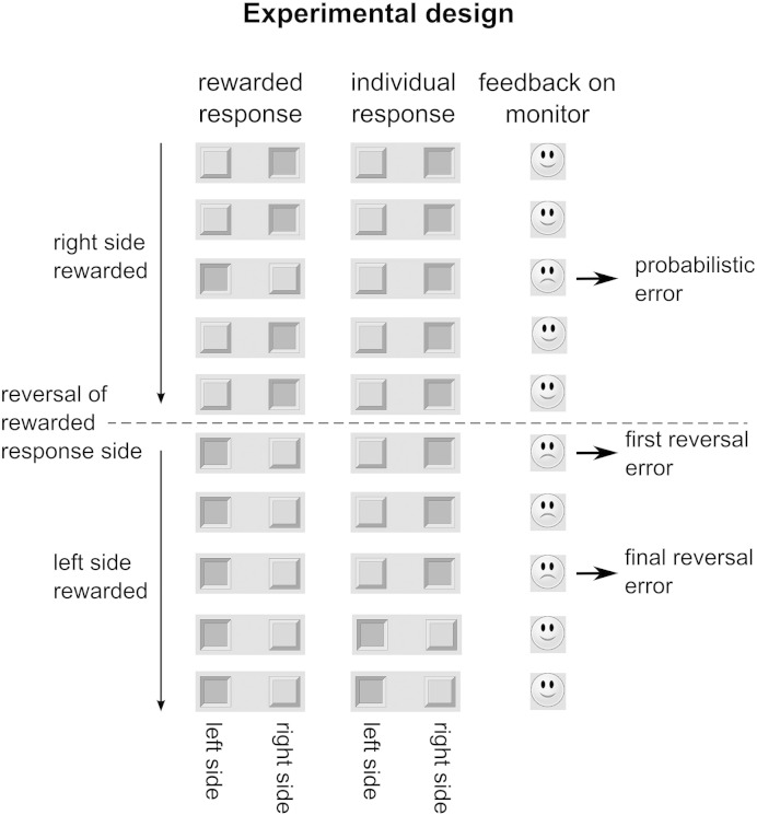 Altered brain activation in a reversal learning task unmasks adaptive ...