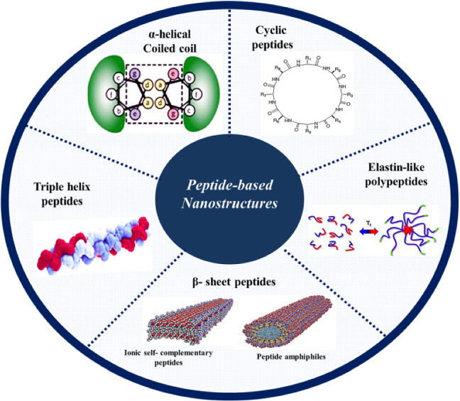 Recent advances in design and applications of biomimetic self-assembled peptide hydrogels for ...