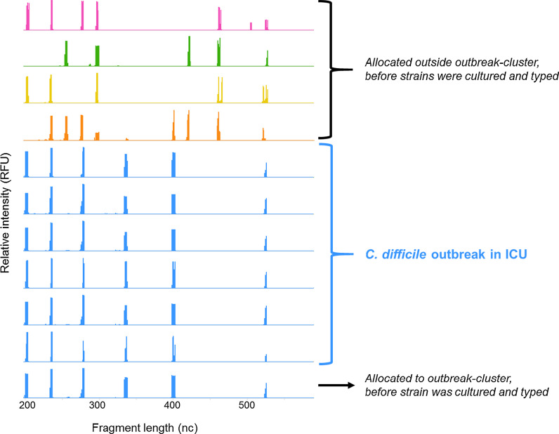 Simultaneous detection and ribotyping of Clostridioides difficile, and ...